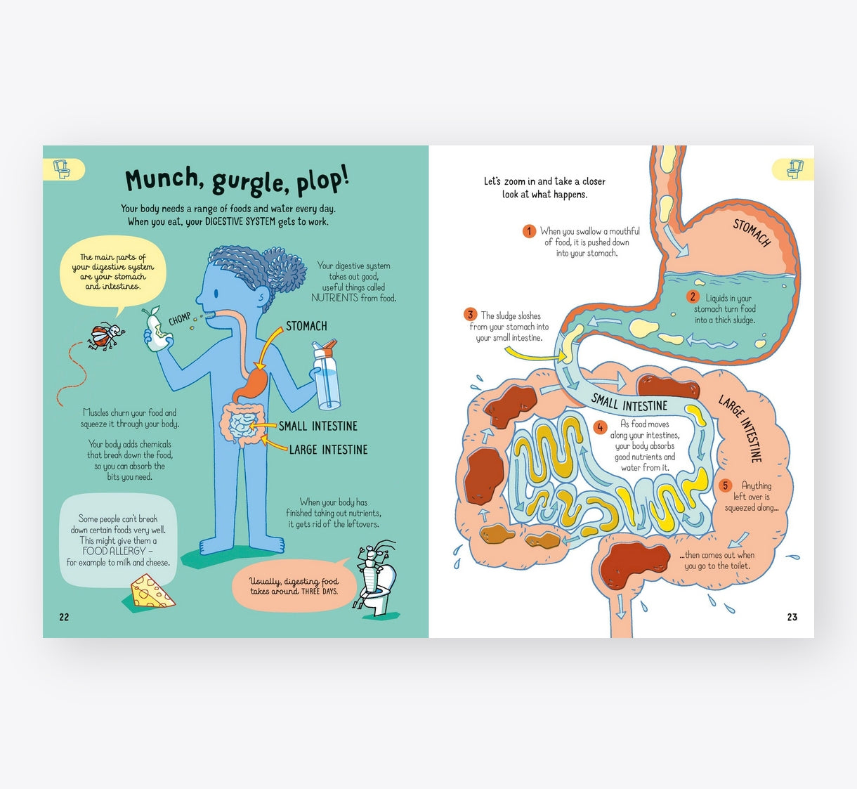 All You Need to Know about Your Body by Age 7 – Genius Juniors Children ...